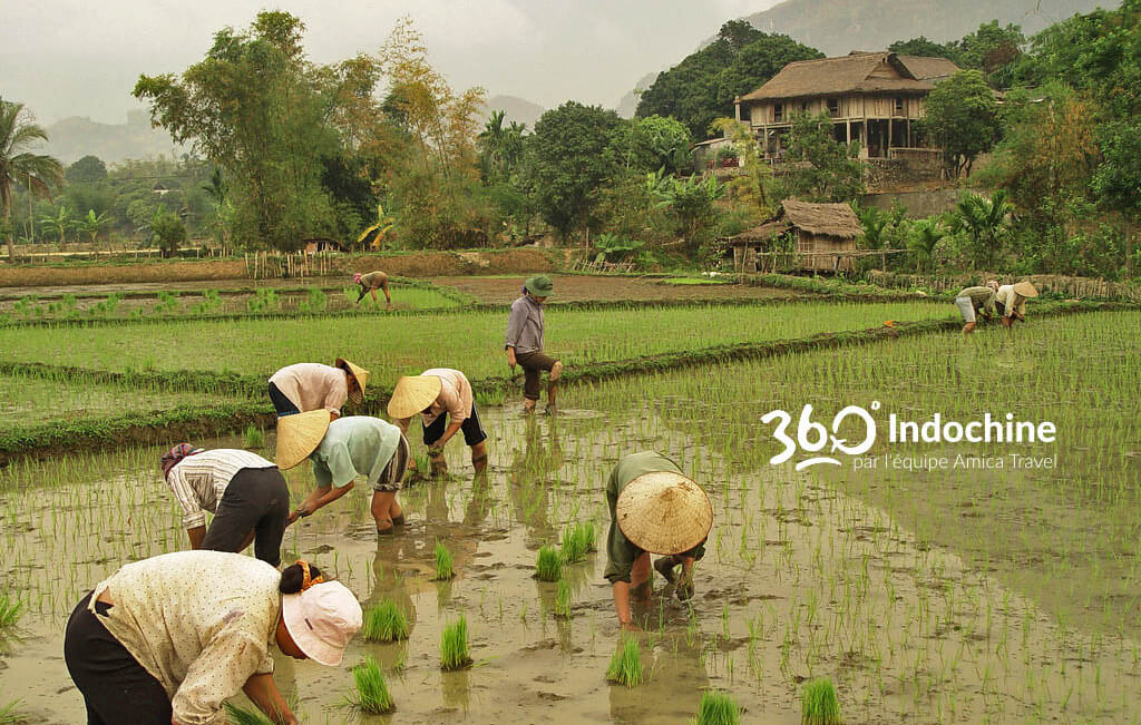 Mai Hich, une vallée oasis pleine de charme – 360 Indochine