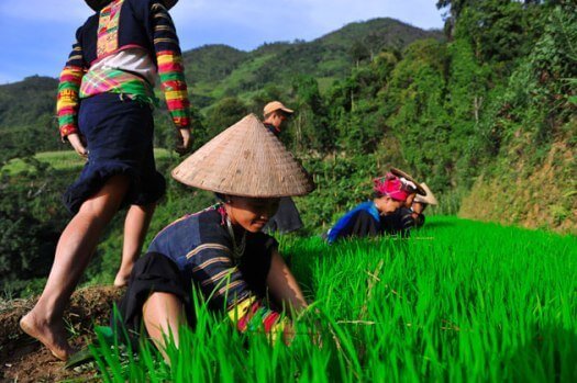 Rencontrer les Lolo noir dans leur village - 360 Degrés