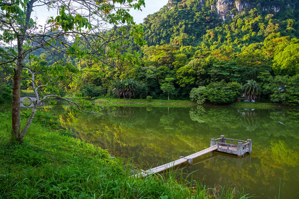 Faune et flore de la péninsule indochinoise – 360 Indochine