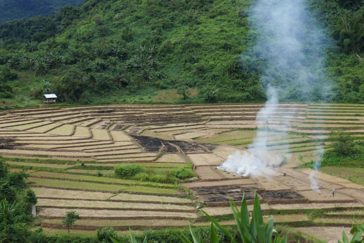 La culture sur brûlis – 360 Indochine