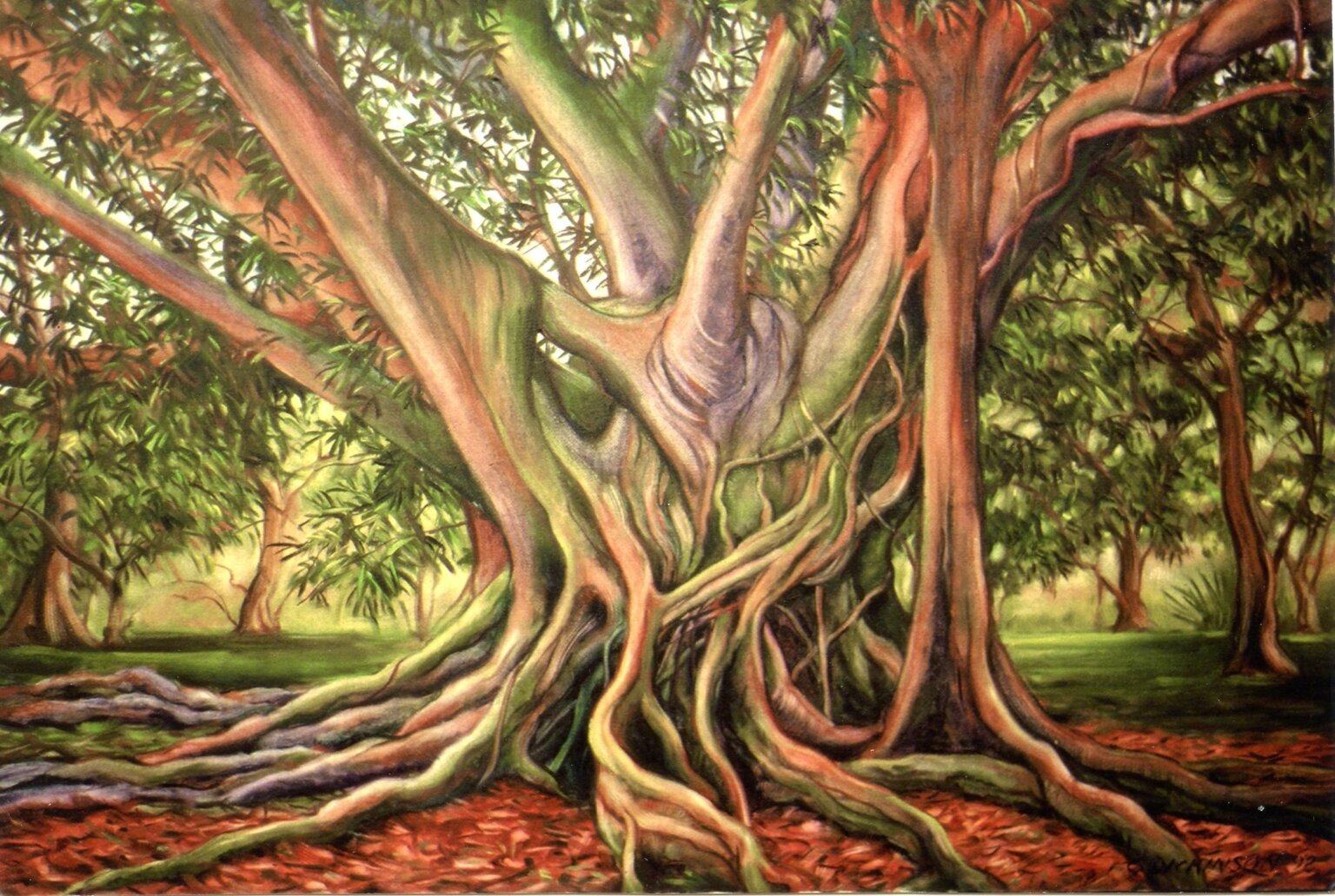 Le banian, l'arbre de l'éveil – 360 Indochine