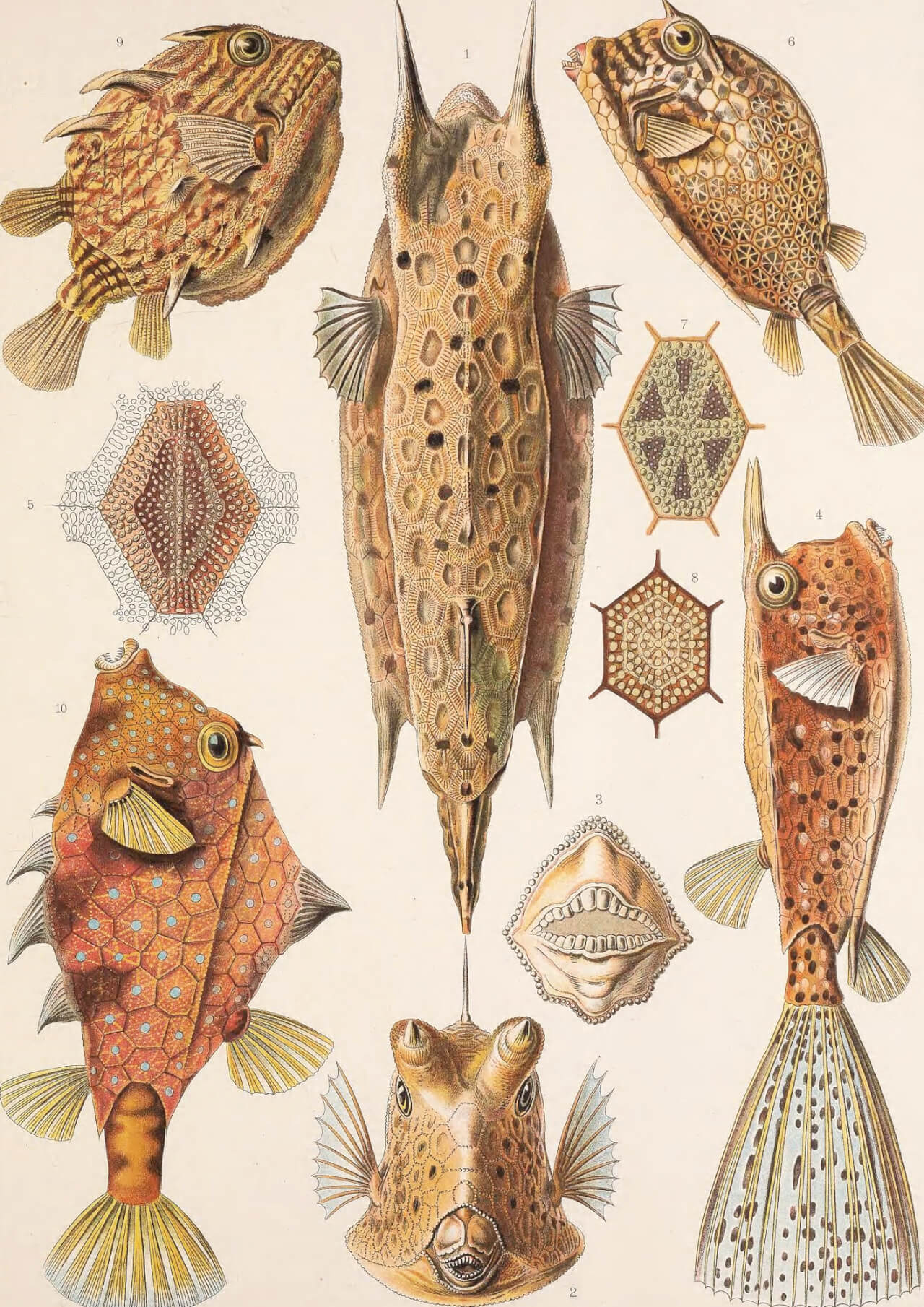 L'archipel de Cat Ba, perle de la baie d'Ha Long – 360 Indochine