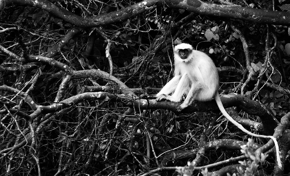 L'archipel de Cat Ba, perle de la baie d'Ha Long – 360 Indochine