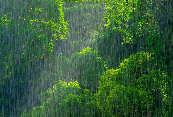 Le parc national du Nakai Nam Theun – 360 Indochine